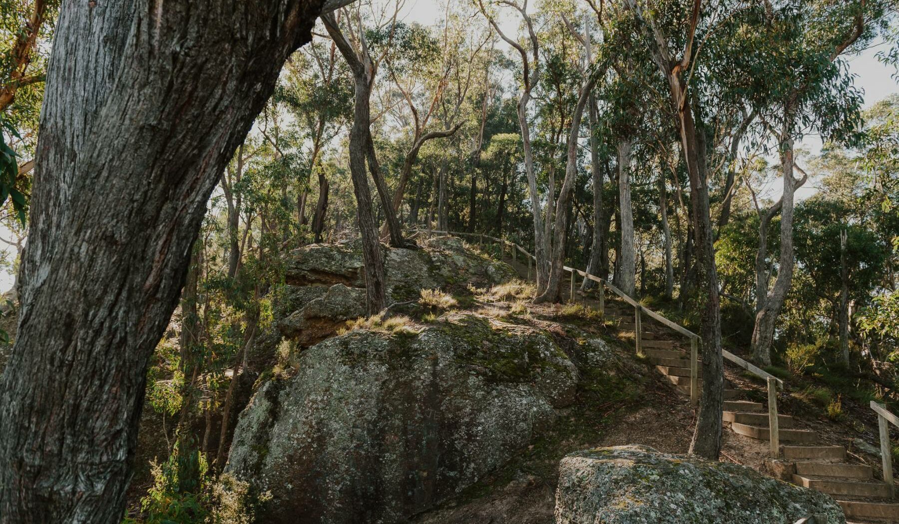 Tyers Park (Petersons Lookout) | Visit Gippsland