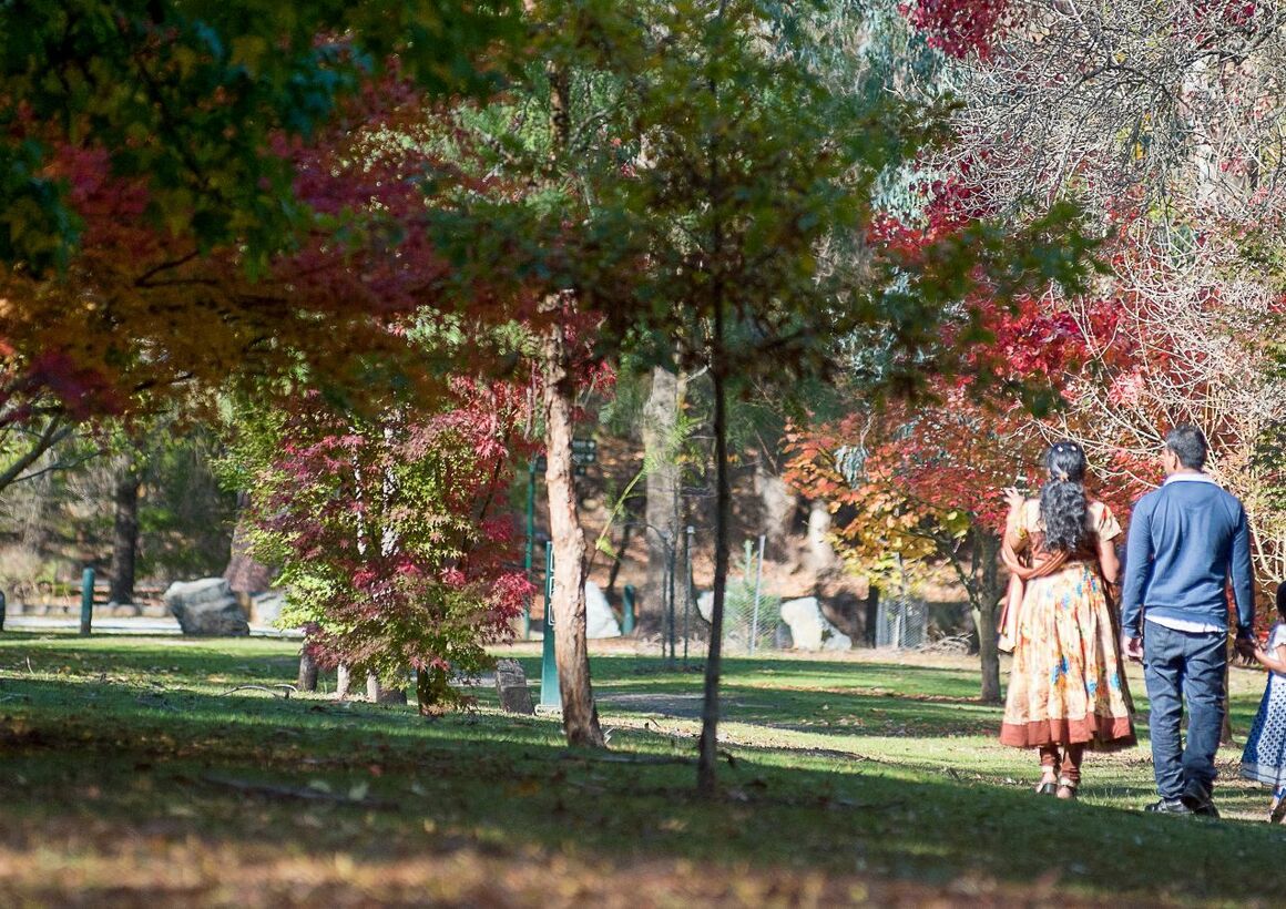 Walking around Buchan | Visit Gippsland