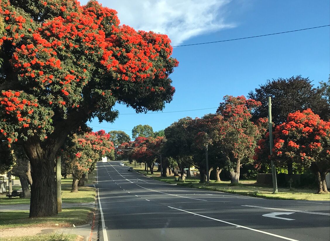 Drouin and district Self-guided Nature Walks | Visit Gippsland