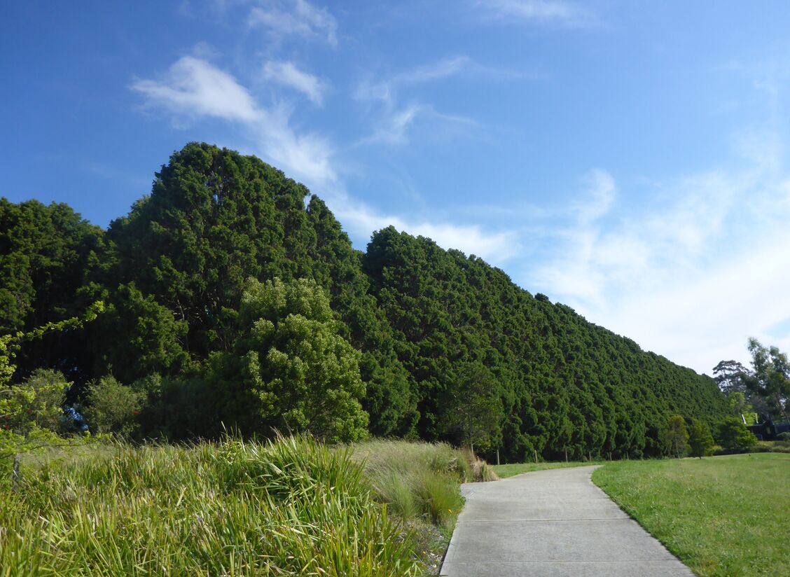 Drouin and district Self-guided Nature Walks | Visit Gippsland