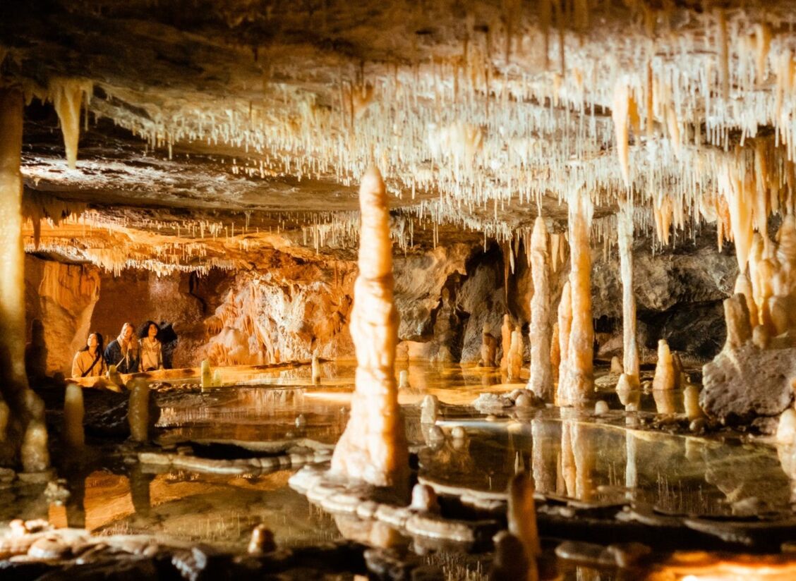 Buchan Caves Guided Tours | Visit Gippsland