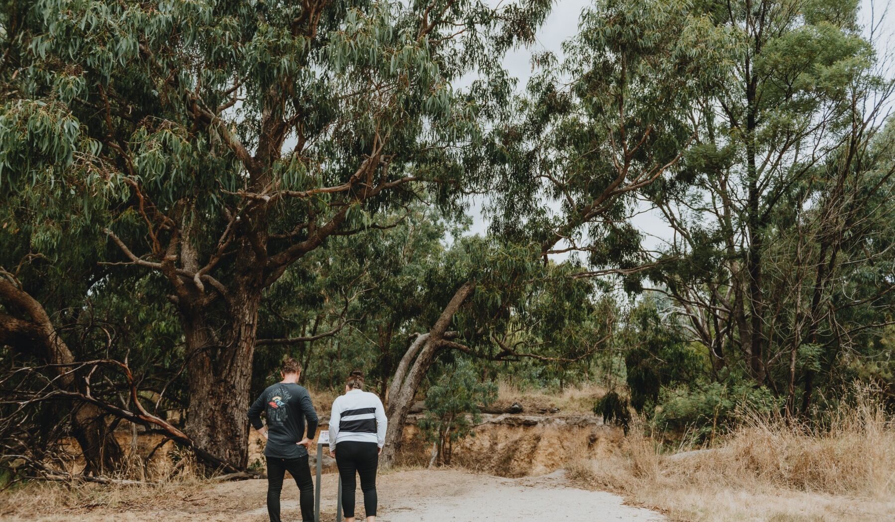 Traralgon, Gippsland, Vic | Accommodation,… | Visit Gippsland