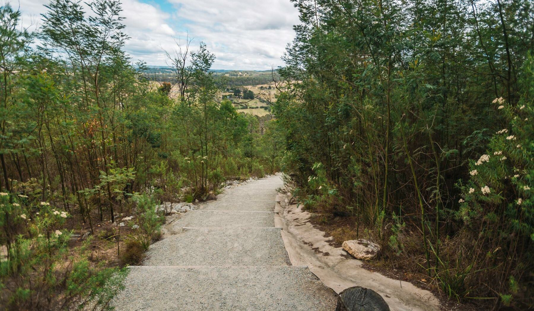 Mt Cannibal Walk | Visit Gippsland