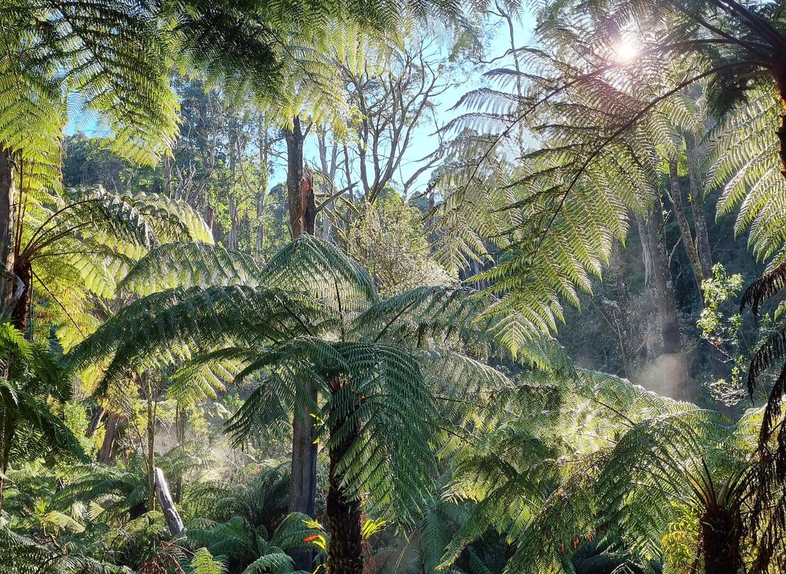 PGL Camp Rumbug | Visit Gippsland