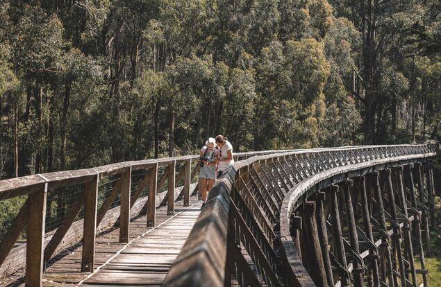 Marvel at the Noojee Trestle Bridge | Visit Gippsland