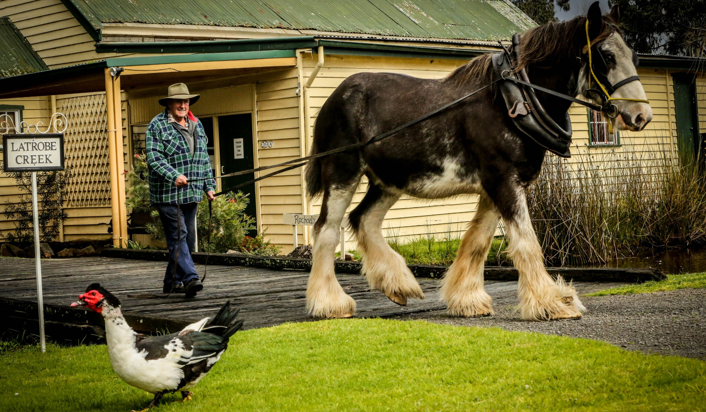Moe Travel Guide: Where to Eat, Stay and Play | Visit Gippsland