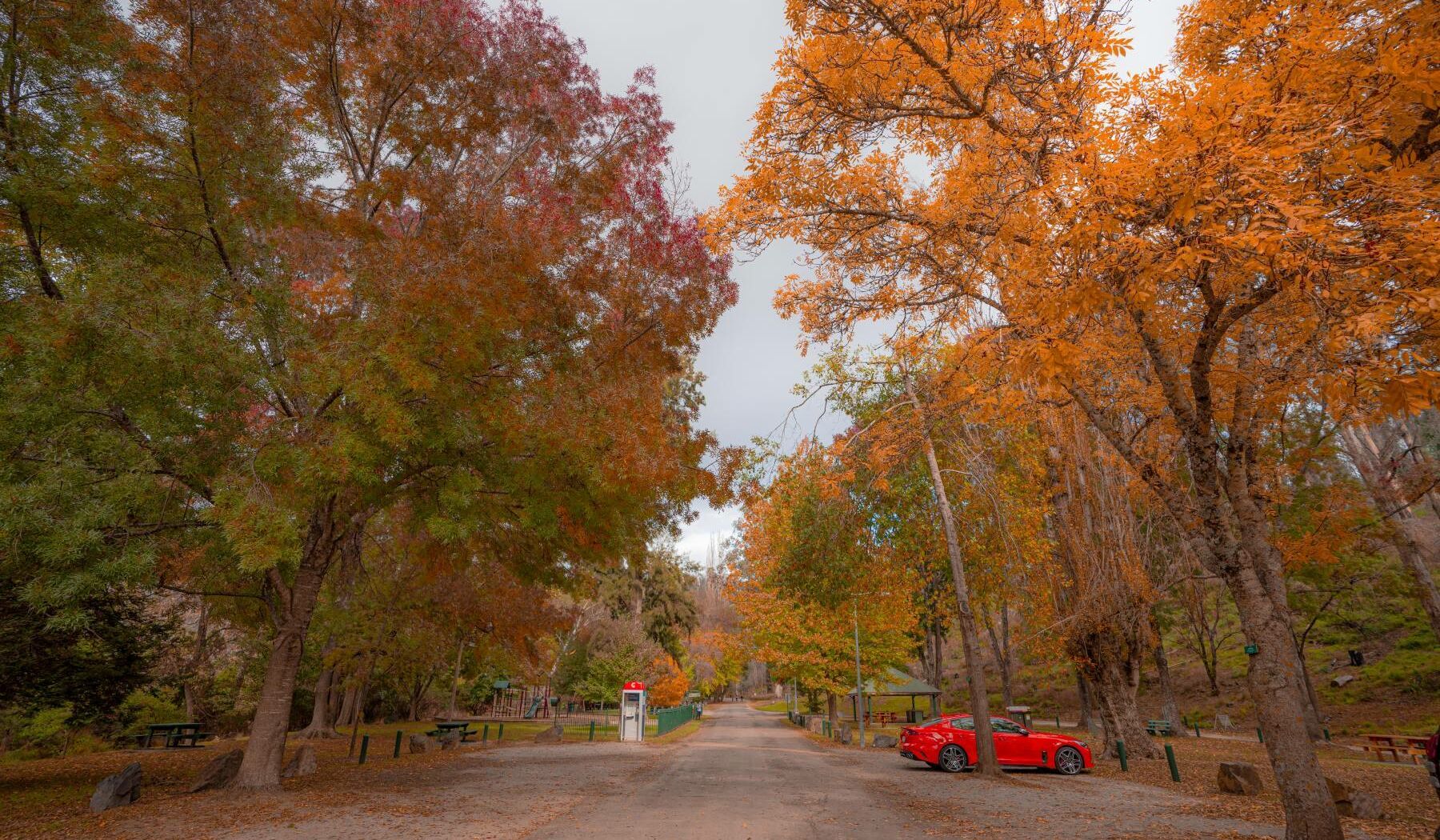 Camping Around Buchan | Visit Gippsland