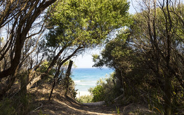 Cape Liptrap Coastal Park | Visit Gippsland