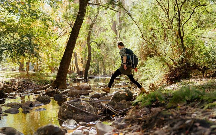 Buchan Travel Guide: Where to Eat, Stay and Play | Visit Gippsland