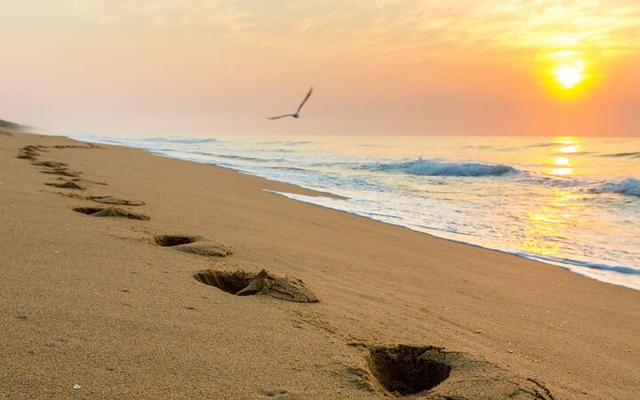 Woodside Beach | Visit Gippsland