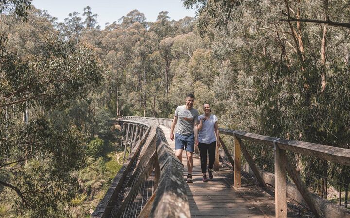Wonder at Your Fingertips | Visit Gippsland