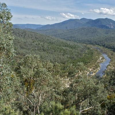 Things to do in Buchan | Visit Gippsland