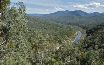 Little River Gorge Walk | Visit Gippsland