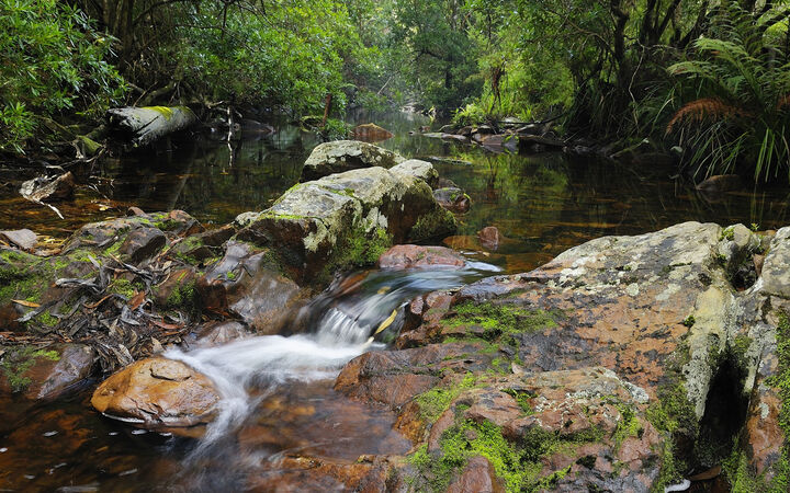 Cann River Travel Guide: Where to Eat, Stay and Play | Visit Gippsland