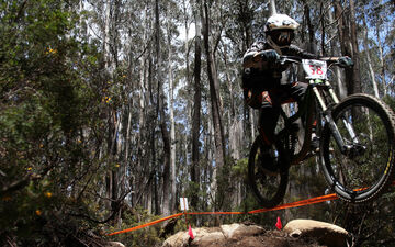 Baw Baw National Park | Visit Gippsland