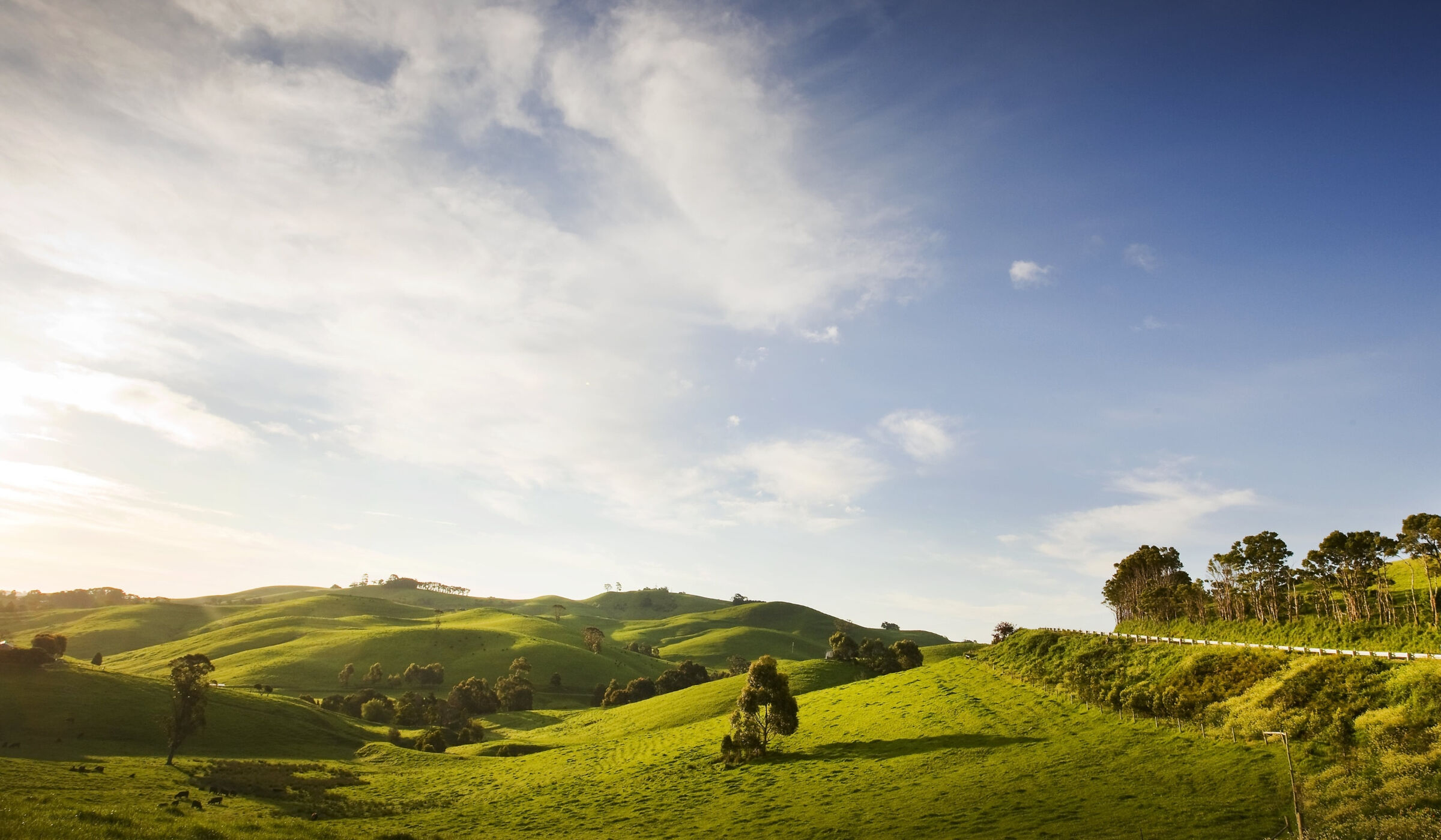 Great Southern Drive | Visit Gippsland