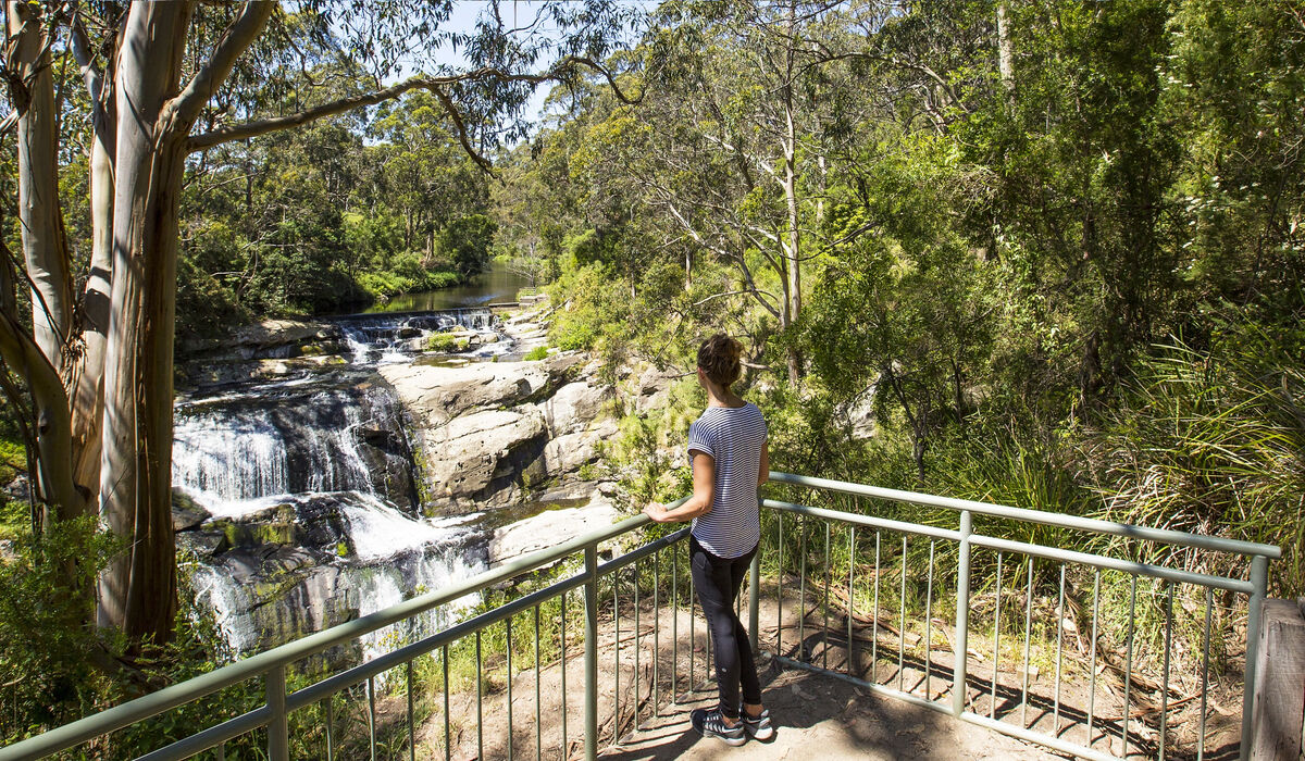 Great Southern Drive | Visit Gippsland