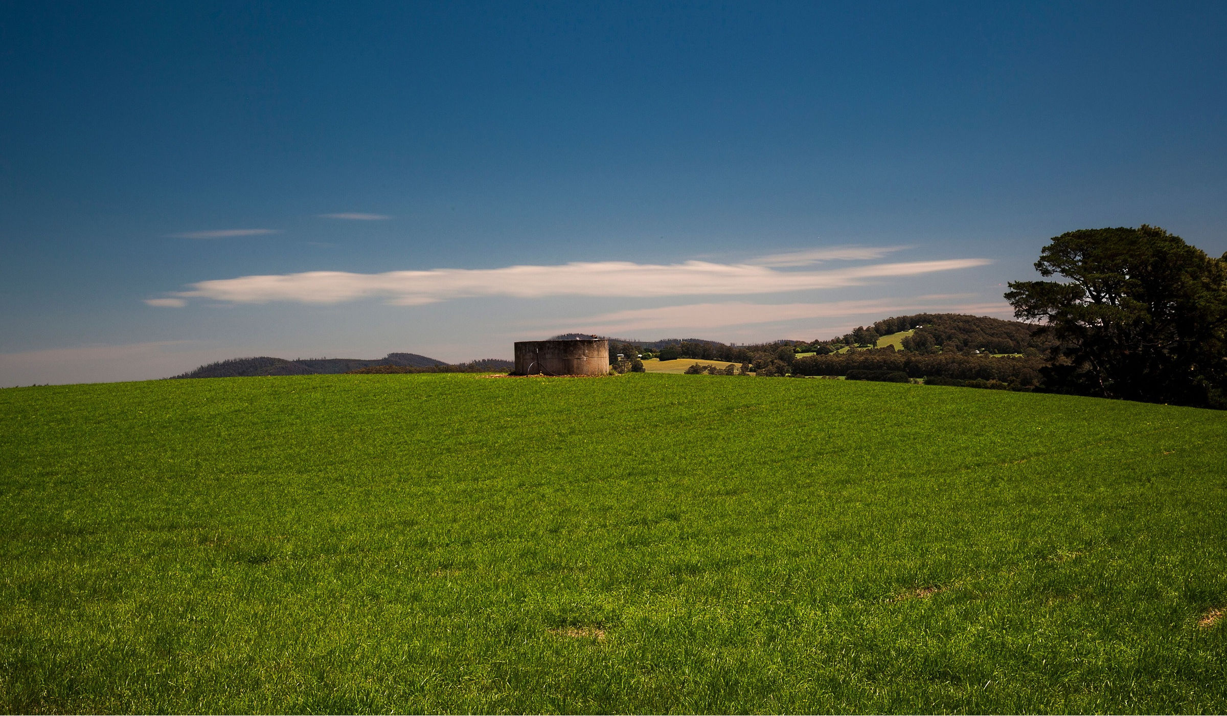 Neerim South Travel Guide: Where to Eat, Stay and… | Visit Gippsland