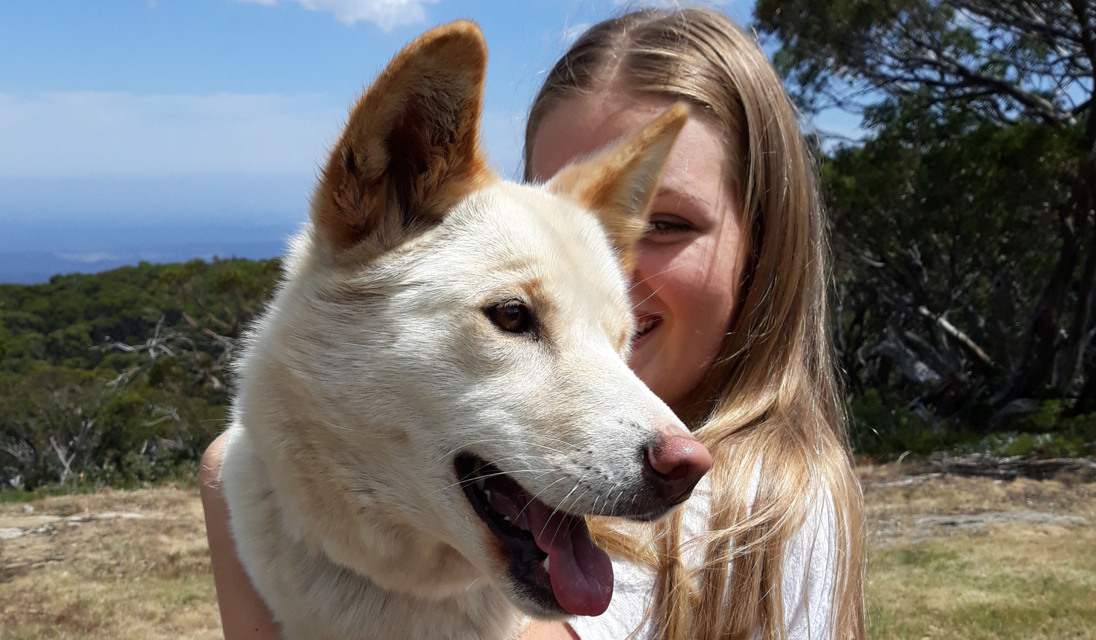 Mt Baw Baw: Adventures All Year | Visit Gippsland