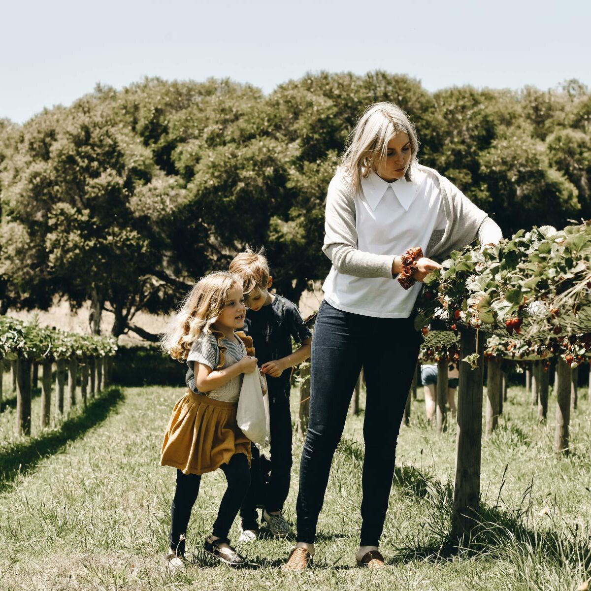 Grantville Travel Guide: Where to Eat, Stay and Play | Visit Gippsland