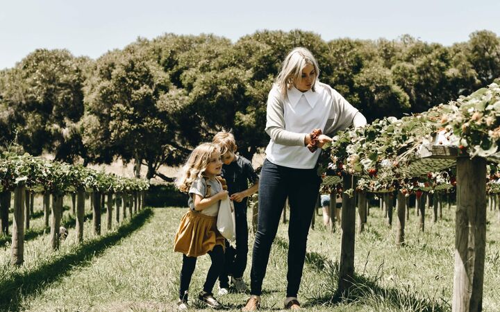 The Gurdies | Visit Gippsland
