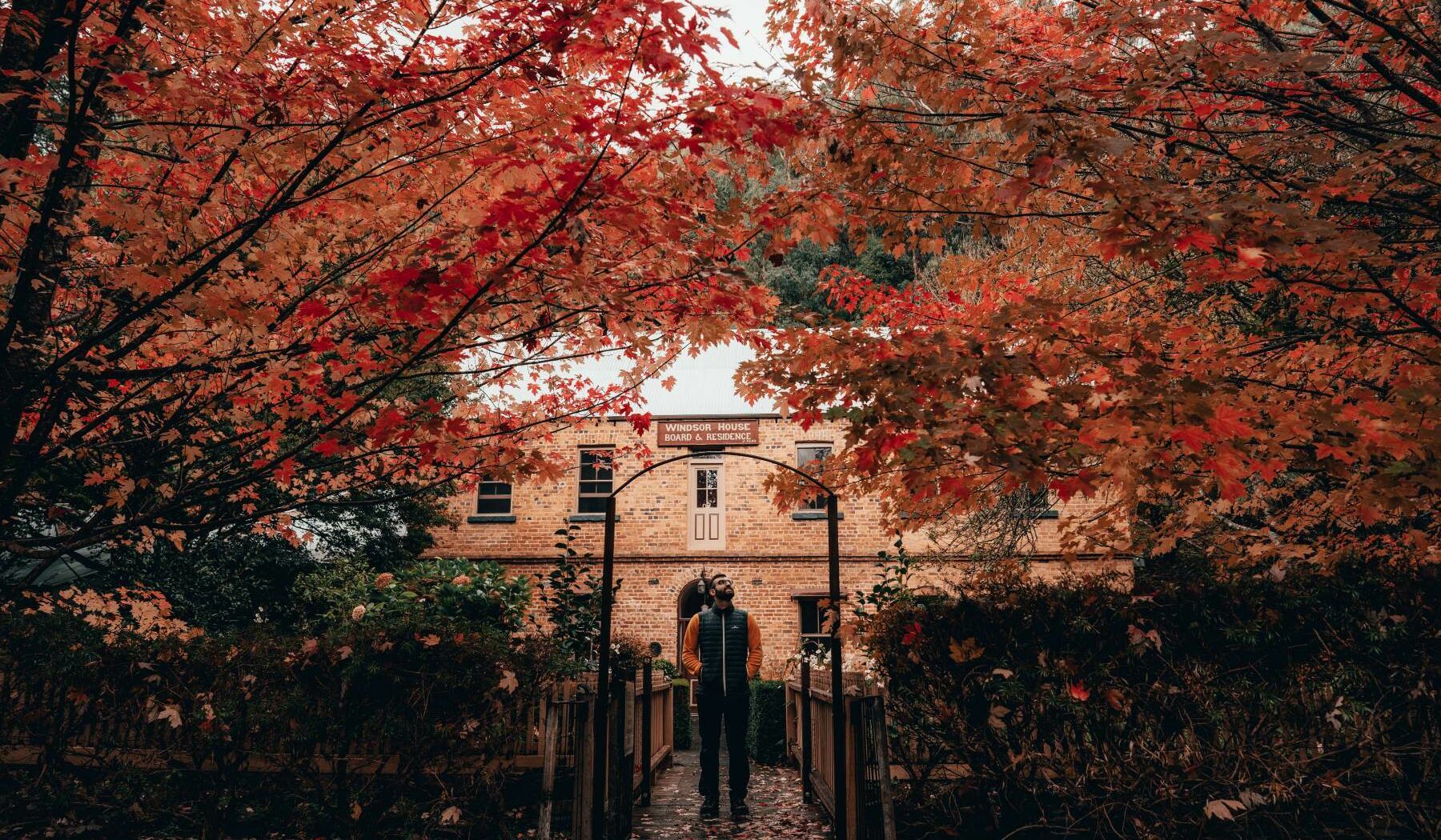 Walhalla, Gippsland, Vic | Accommodation, Train,… | Visit Gippsland