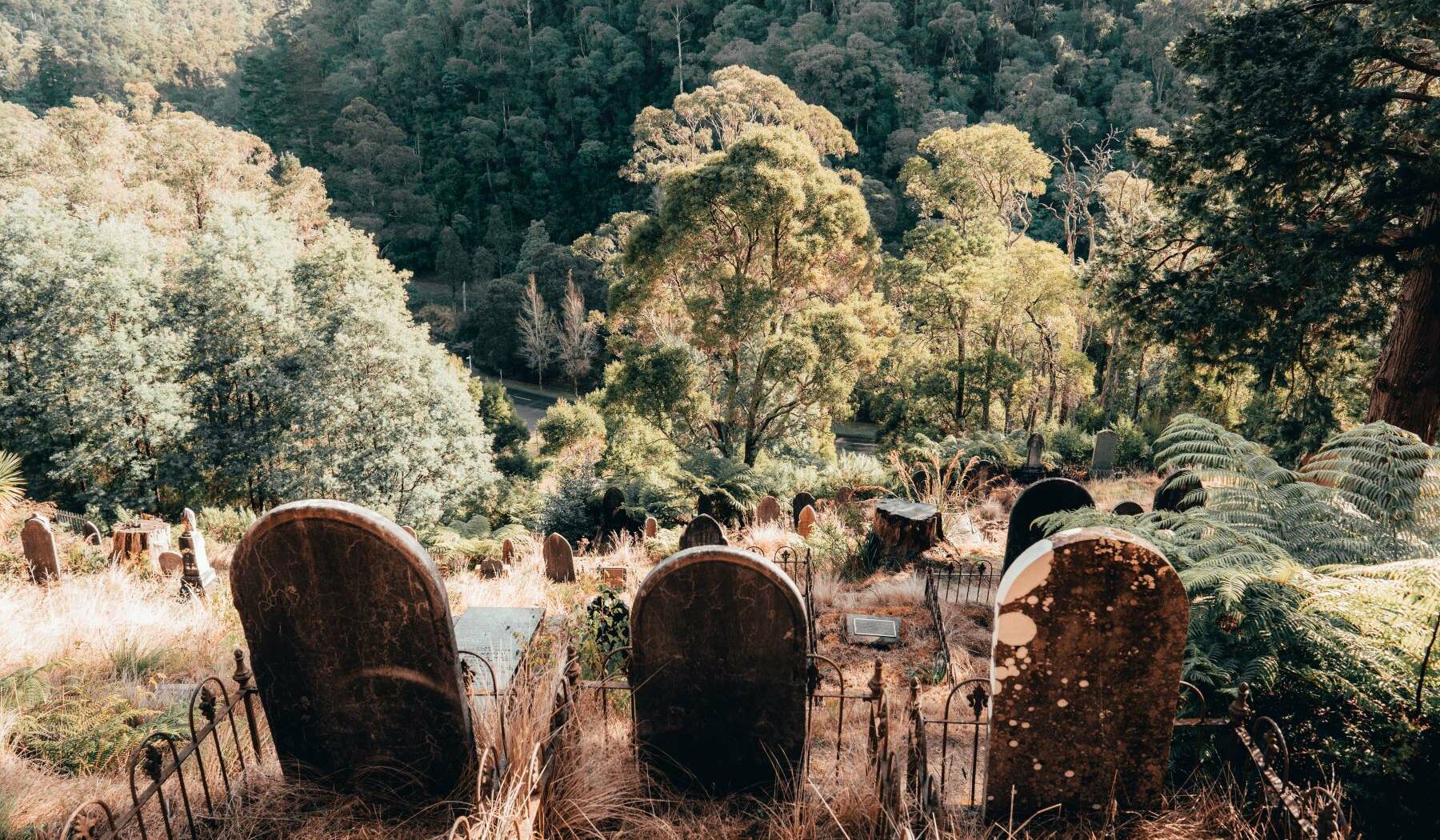 Walhalla, Gippsland, Vic | Accommodation, Train,… | Visit Gippsland