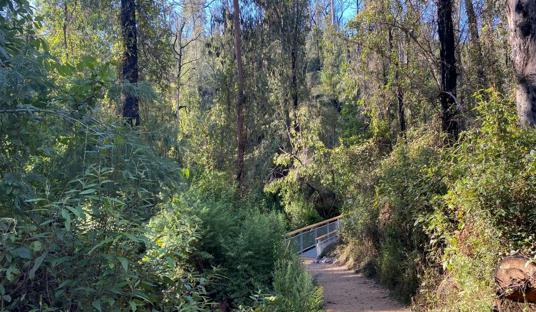 48 Hours Around Bruthen | Visit Gippsland