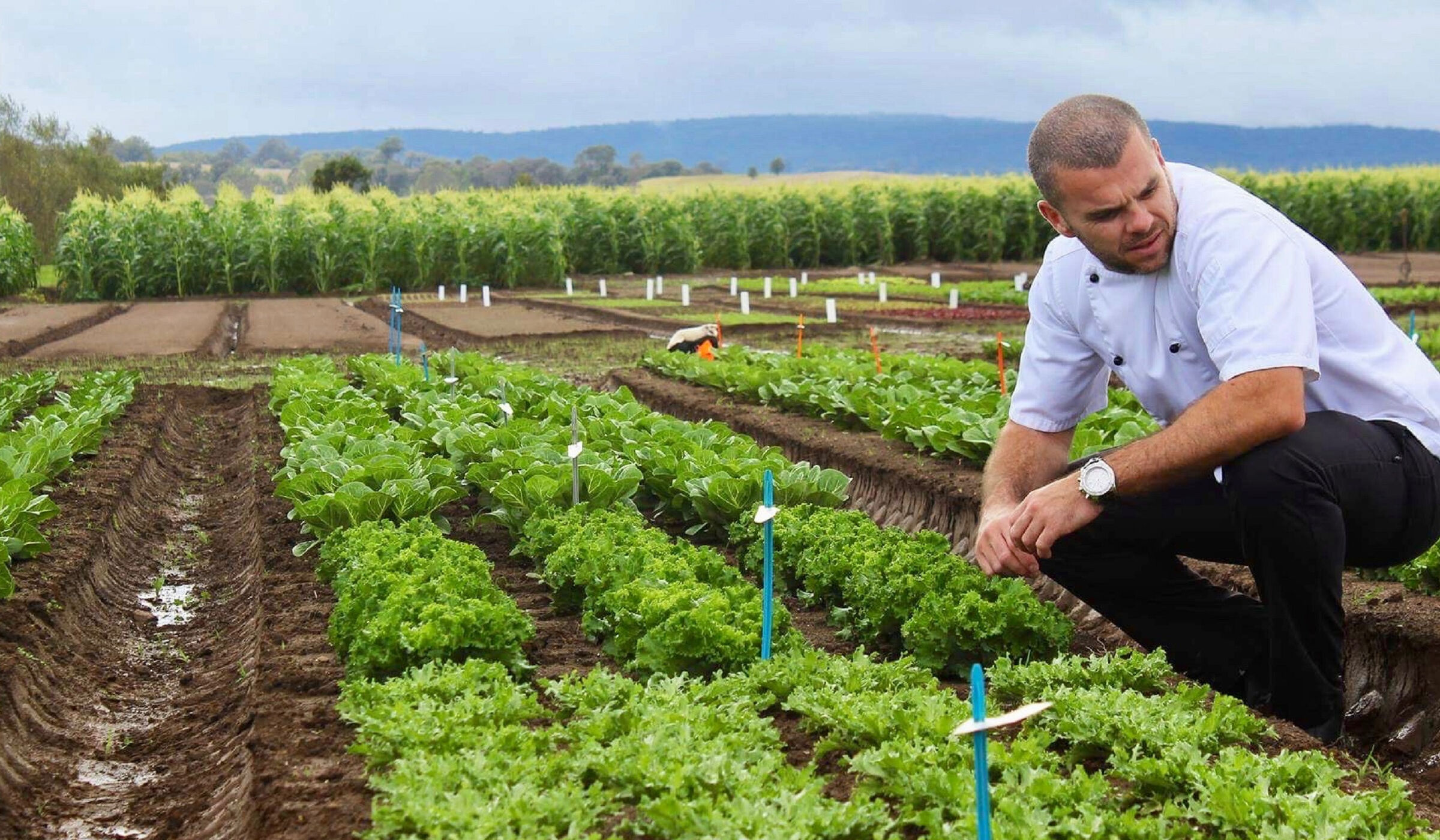 Lindenow Travel Guide: Where to Eat, Stay and Play | Visit Gippsland