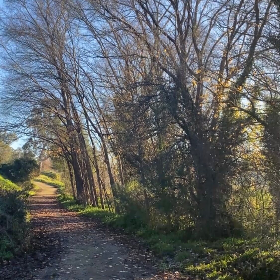 48 Hours Around Bruthen | Visit Gippsland