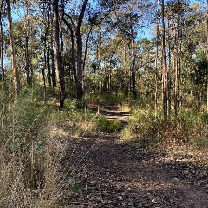 Things to do in Bruthen | Visit Gippsland