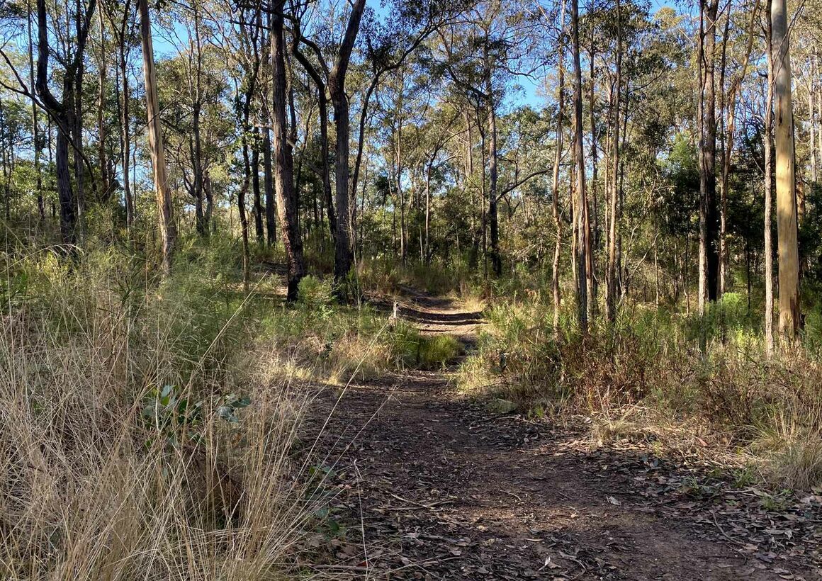 Bruthen Walks & Rides | Visit Gippsland