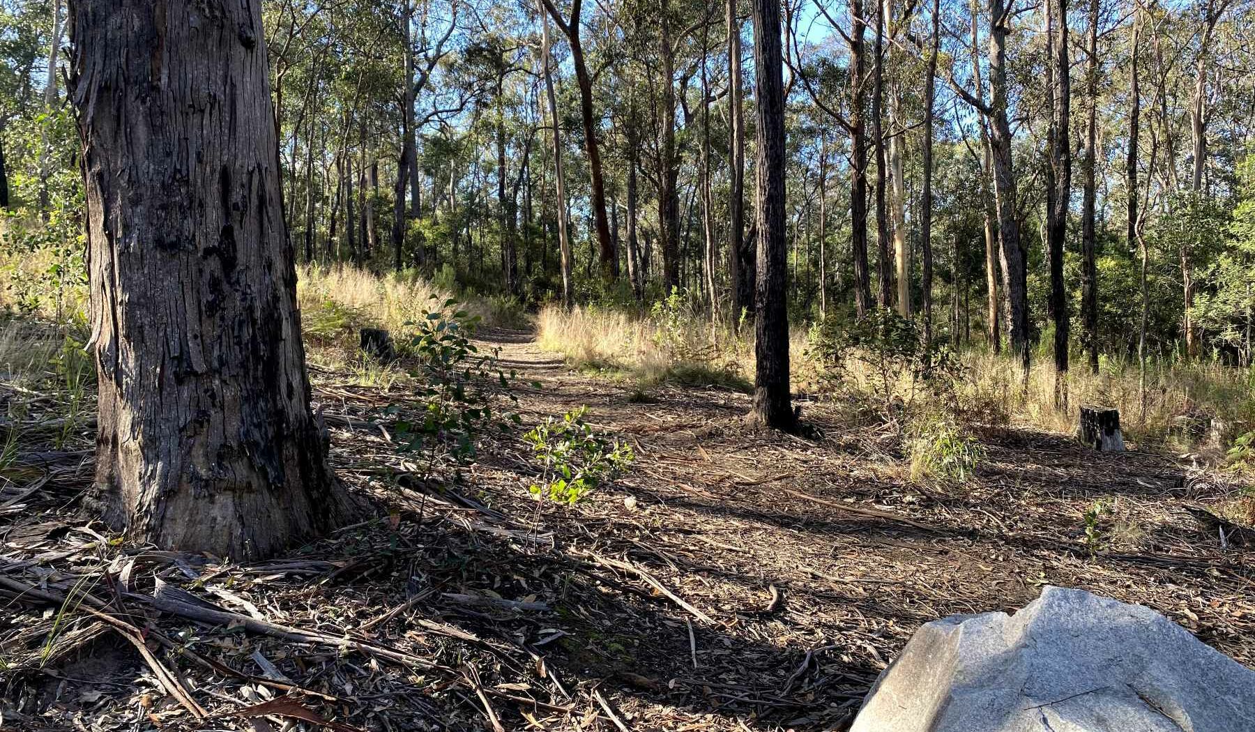 Bruthen Walking Trails | Visit Gippsland