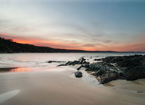 South Gippsland Visitor Information Centre - Foster | Visit Gippsland
