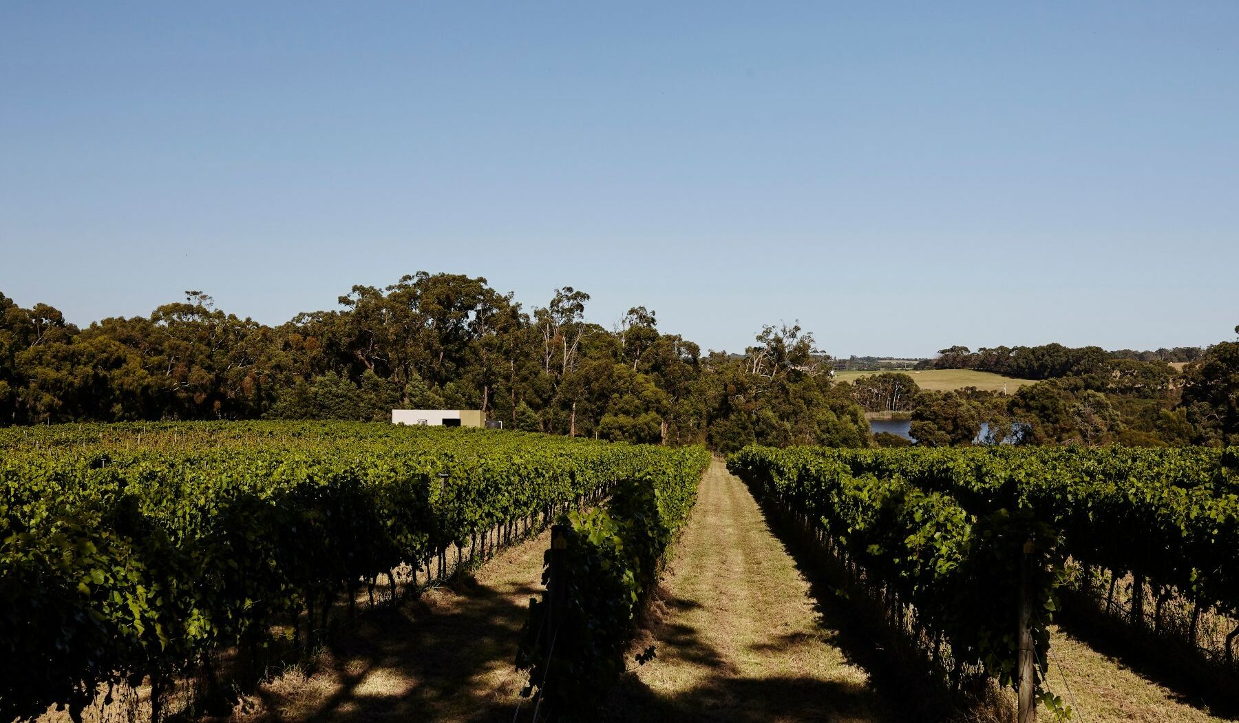 The Best Places to Eat & Drink in Inverloch | Visit Gippsland