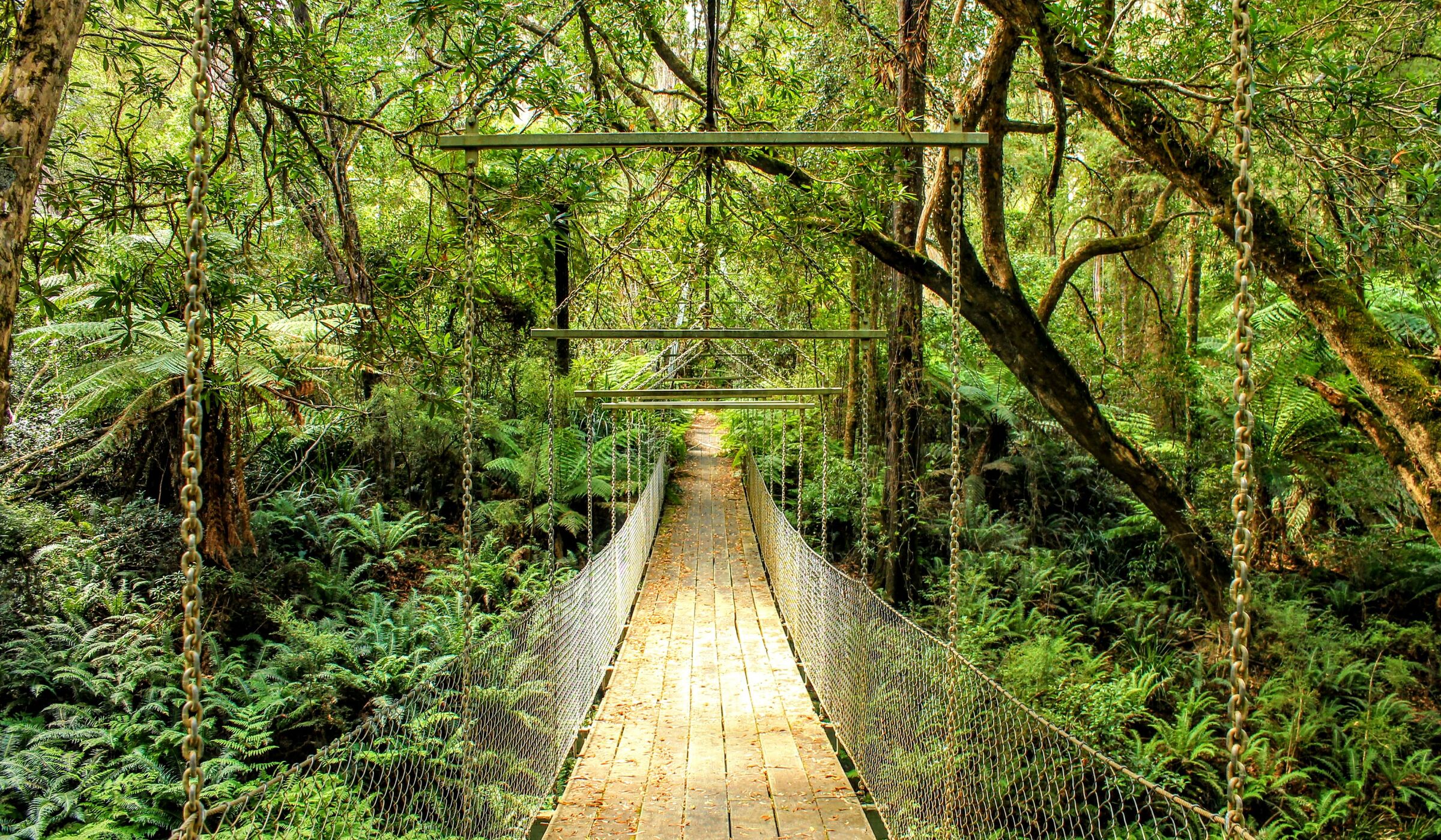 Bemm River Travel Guide: Where to Eat, Stay and Play | Visit Gippsland