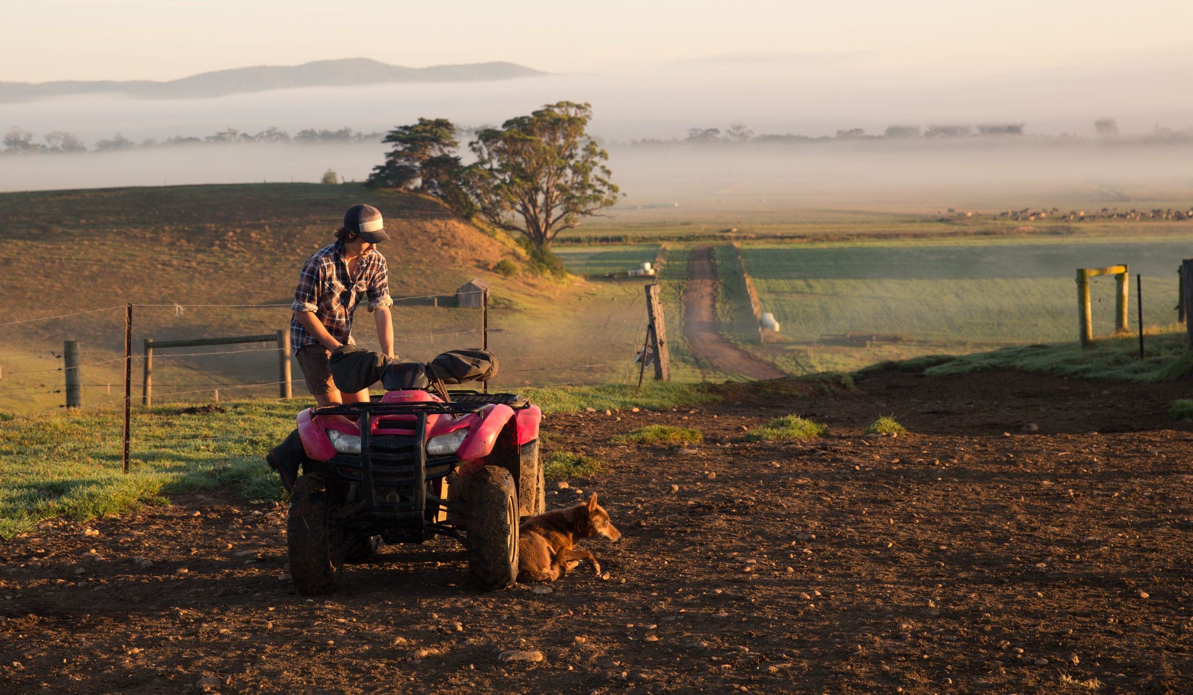 Orbost Travel Guide: Where to Eat, Stay and Play | Visit Gippsland