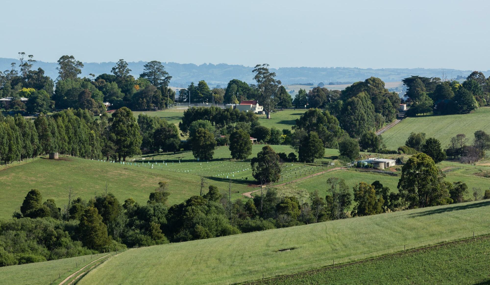 Jindivick Travel Guide: Where to Eat, Stay and Play | Visit Gippsland