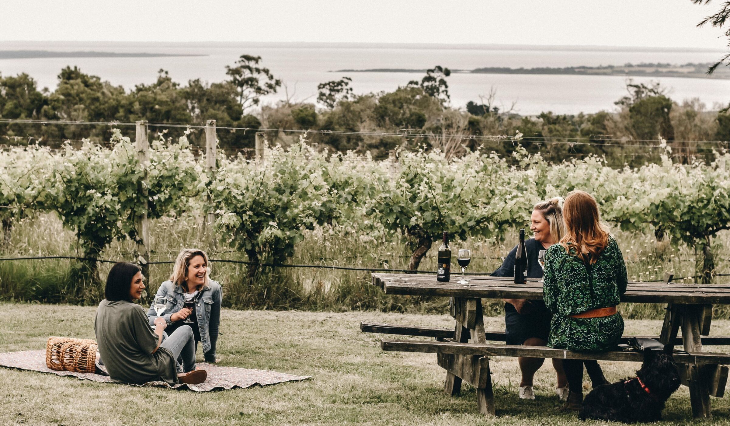 The Gurdies | Visit Gippsland