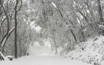Baw Baw National Park | Visit Gippsland