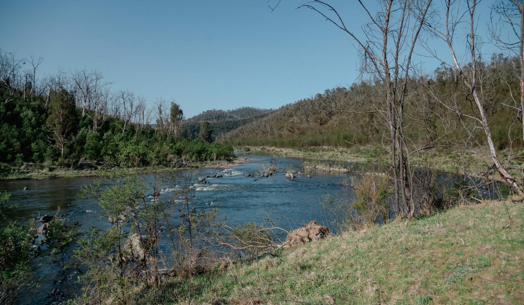 Balley Hooley (The Junction) | Visit Gippsland