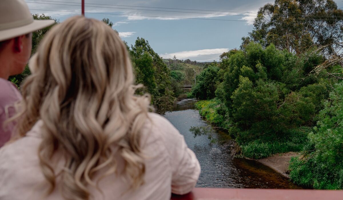 Buchan River Swing Bridge | Visit Gippsland