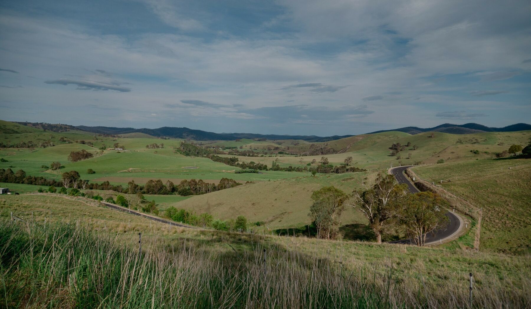 Buchan Travel Guide: Where to Eat, Stay and Play | Visit Gippsland