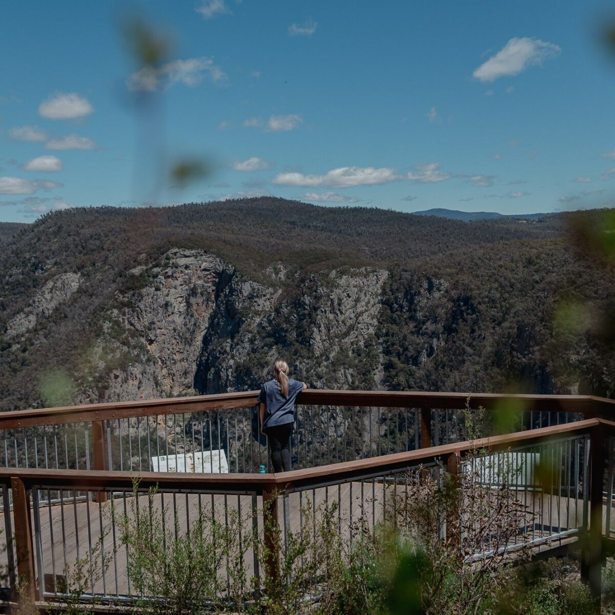 Little River Gorge Walk | Visit Gippsland