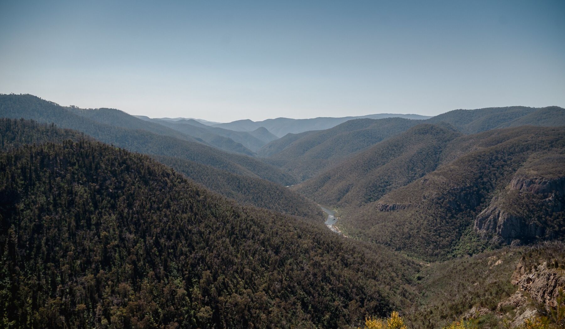 Tulloch Ard Lookout Walk | Visit Gippsland