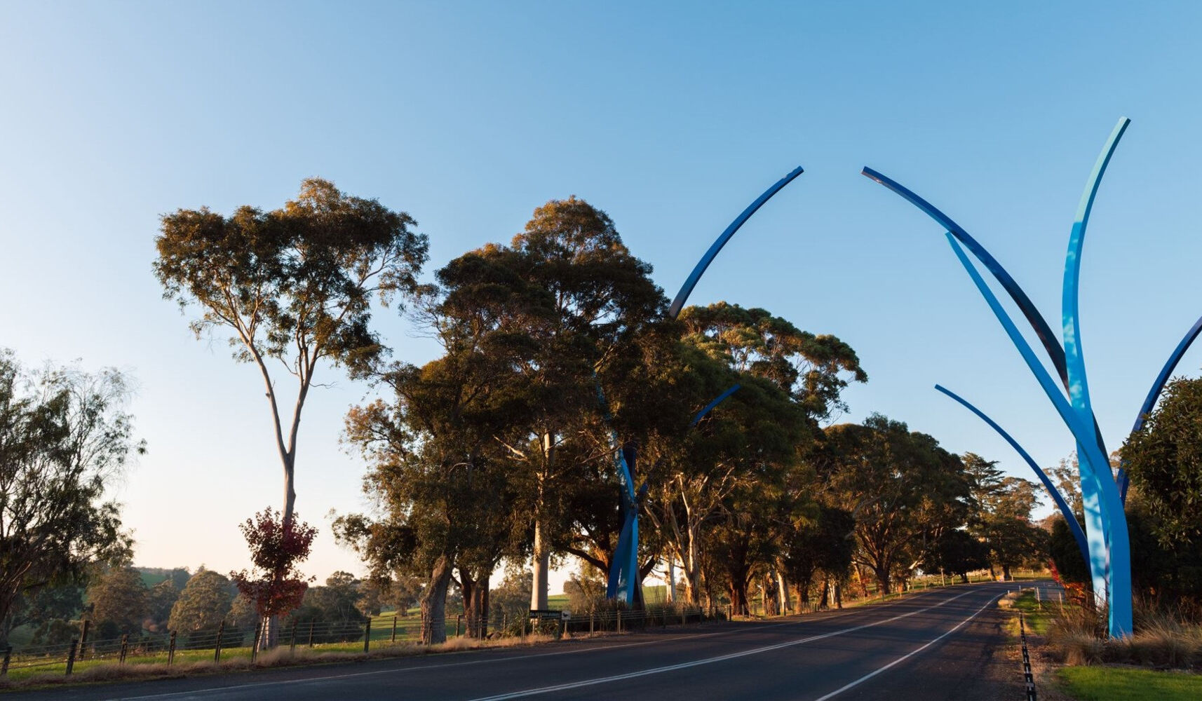 Neerim Bower | Visit Gippsland