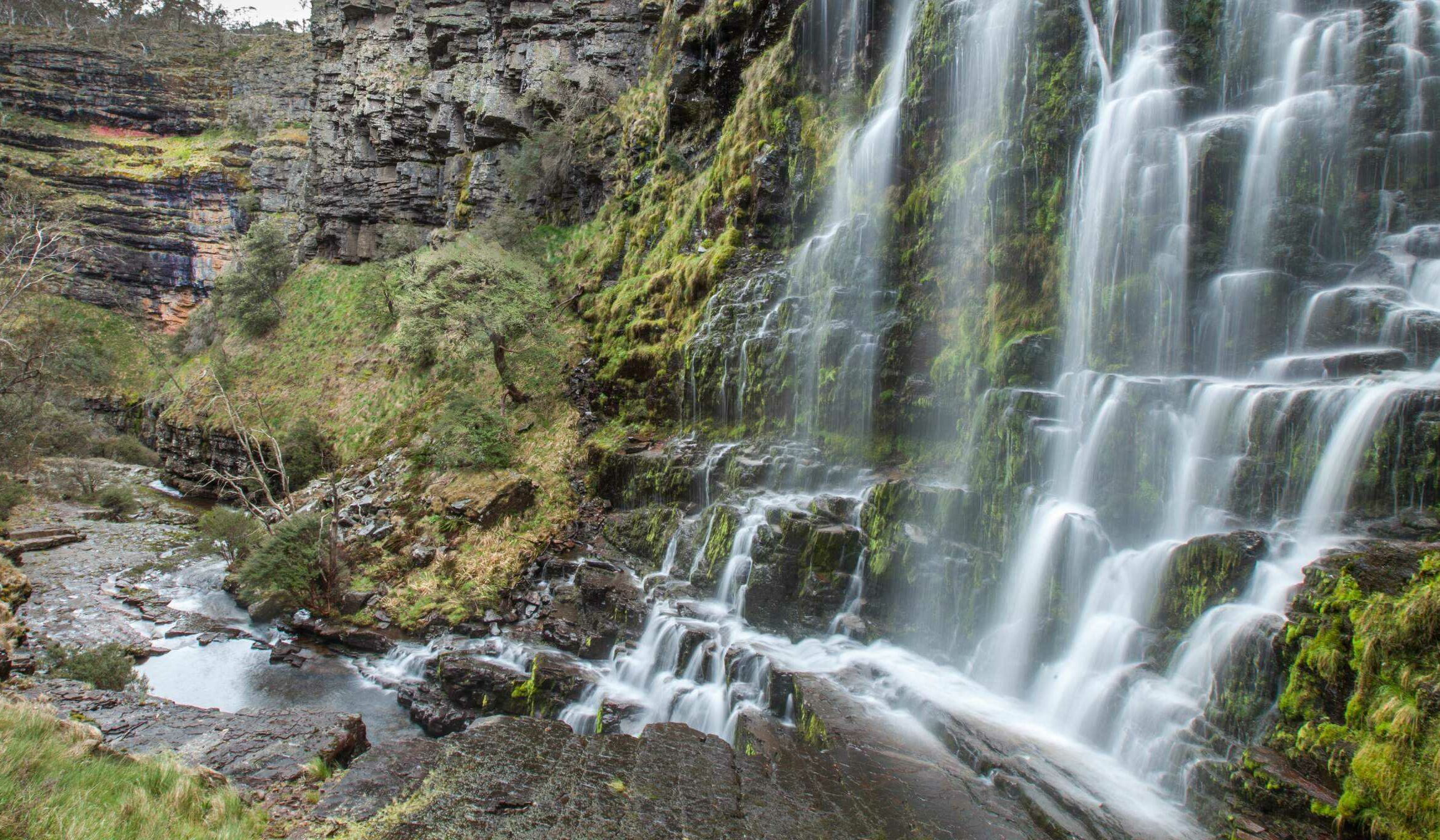 The Bryce Gorge Circuit Walk | Visit Gippsland
