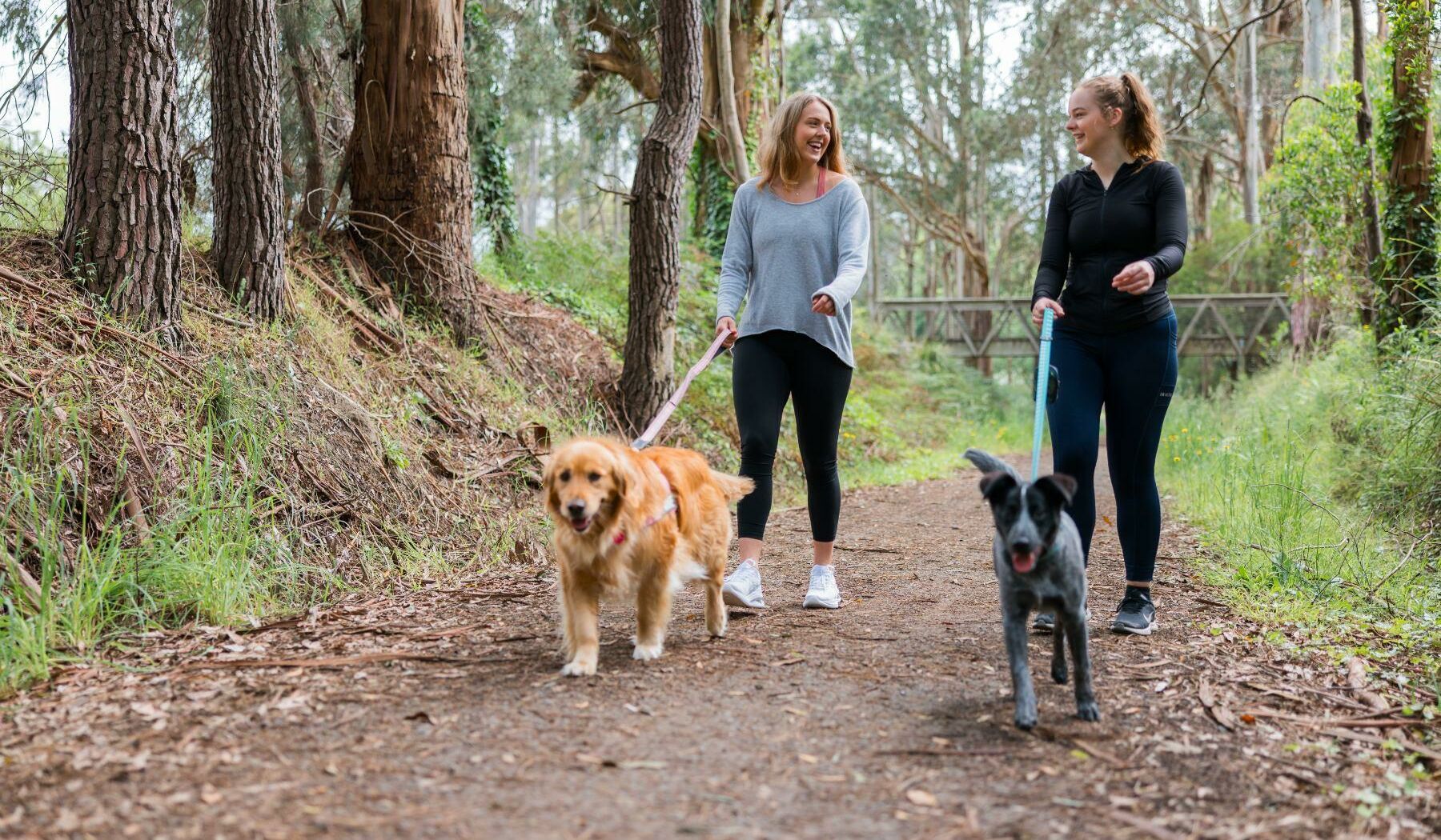 Latrobe City Picnic Spots | Visit Gippsland