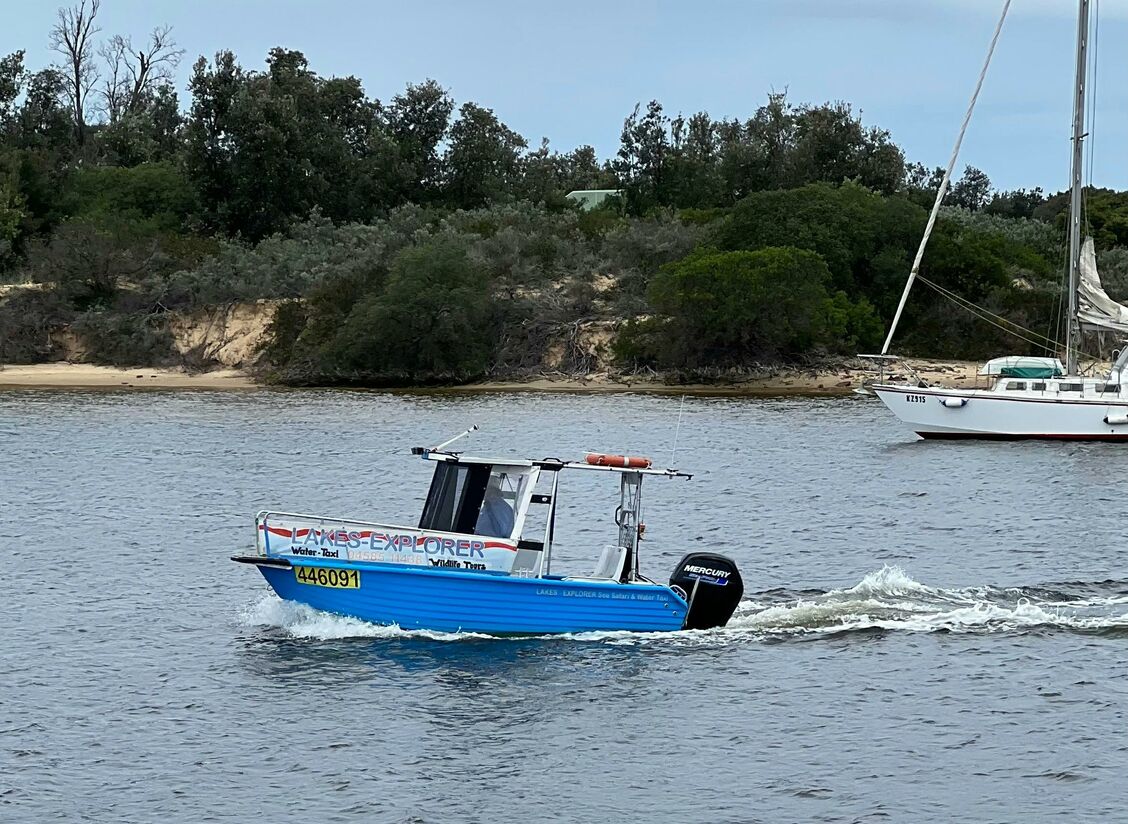 Lakes Explorer : Wildlife Tours or Water-Taxi | Visit Gippsland