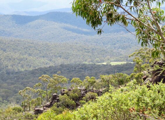 Avon Mt Hedrick Scenic Reserve | Visit Gippsland